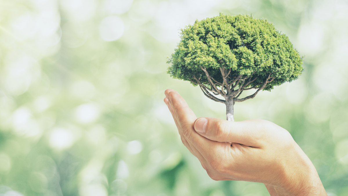 O que é e como ser eco-friendly